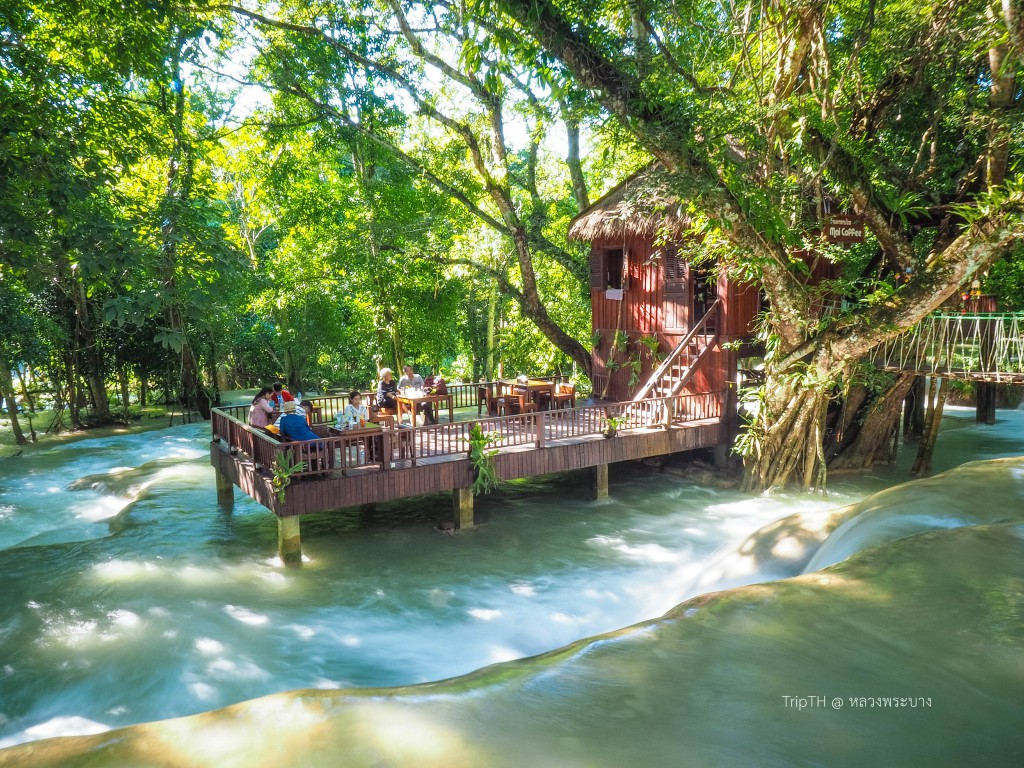 Mai Coffee น้ำตกตาดแส้ (1) | TripTH | ทริปไทยแลนด์